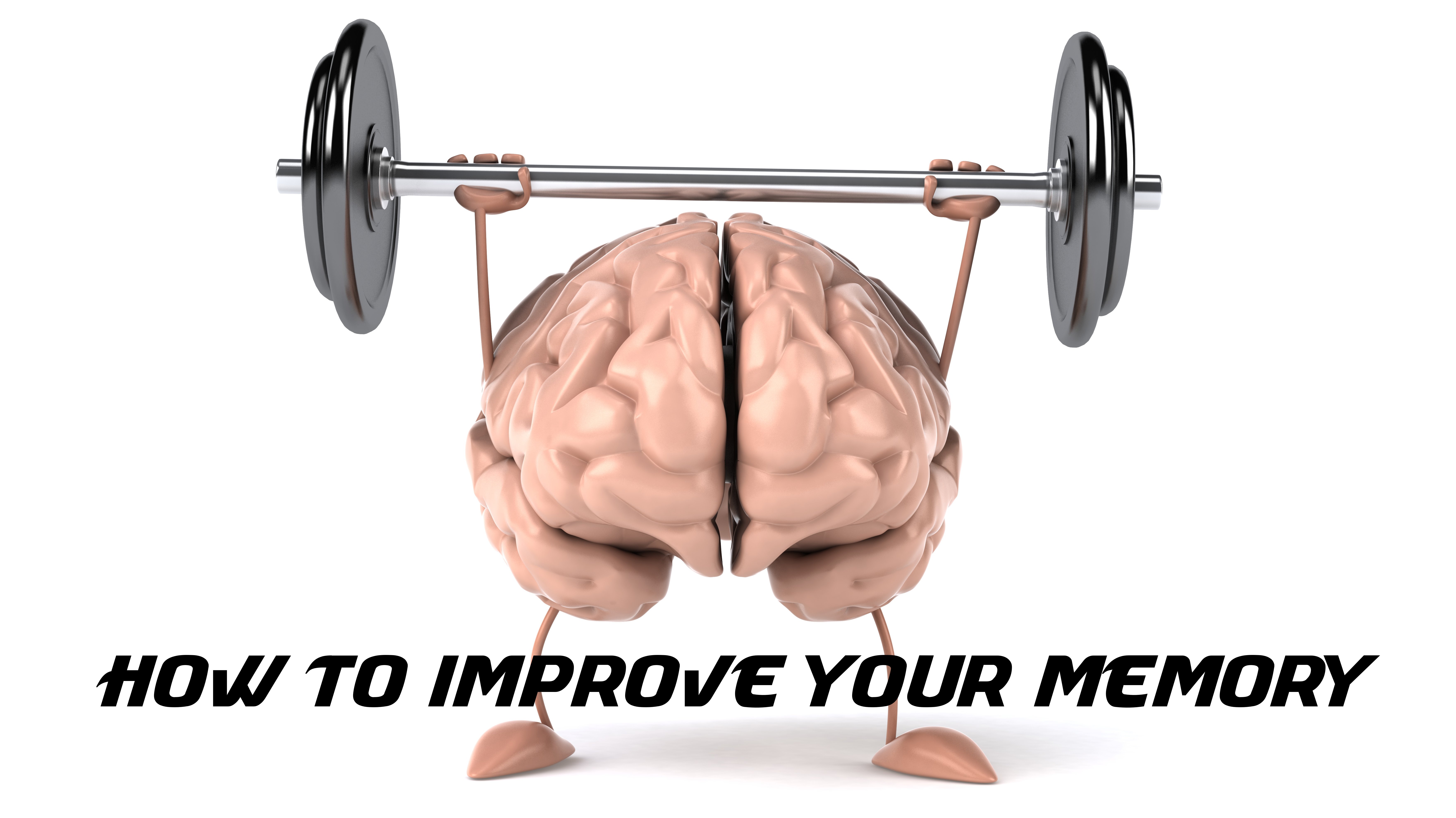 How To Improve Your Memory